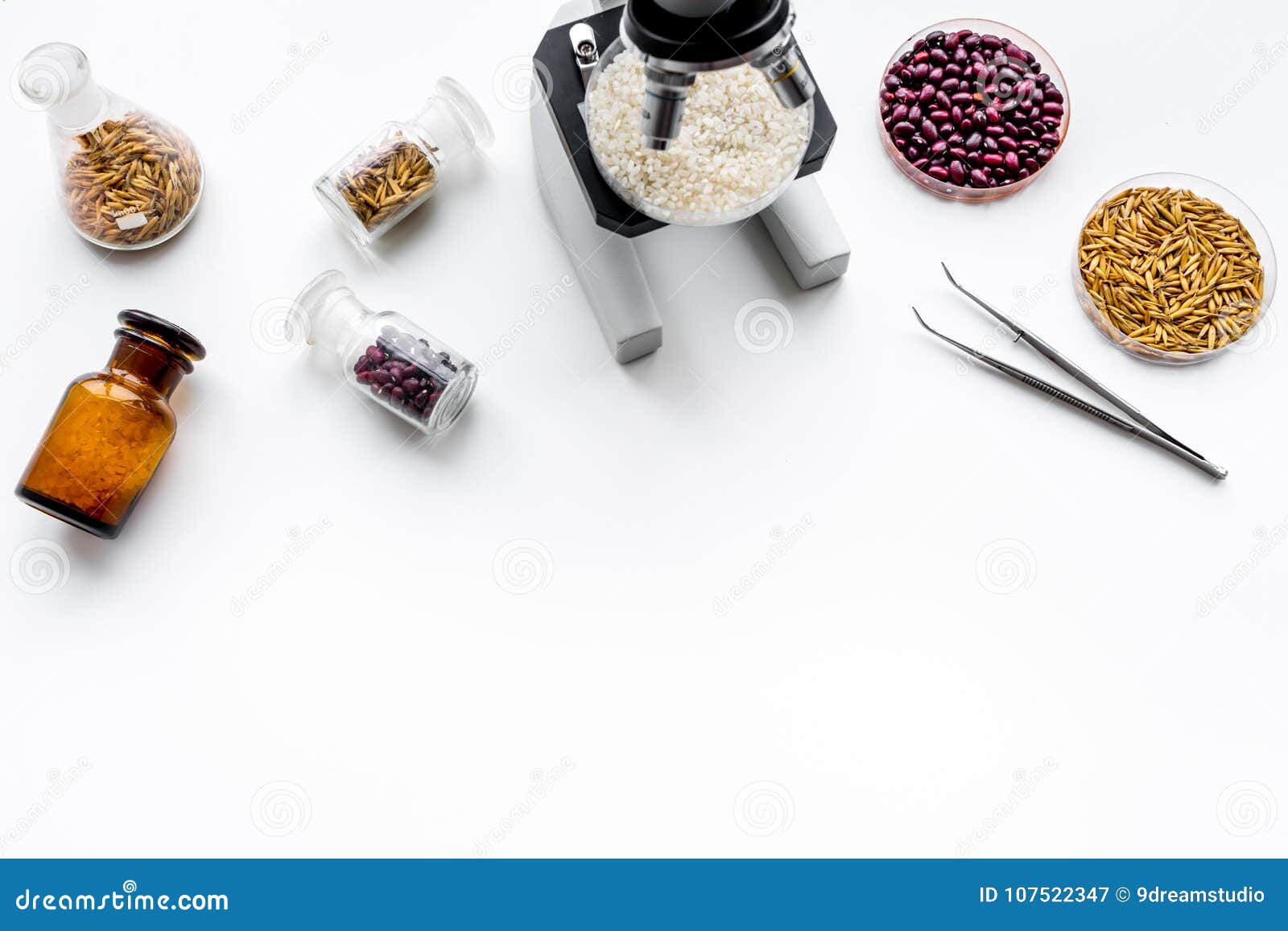 Food Analysis. Rice Under the Microscope on White Background Top View ...
