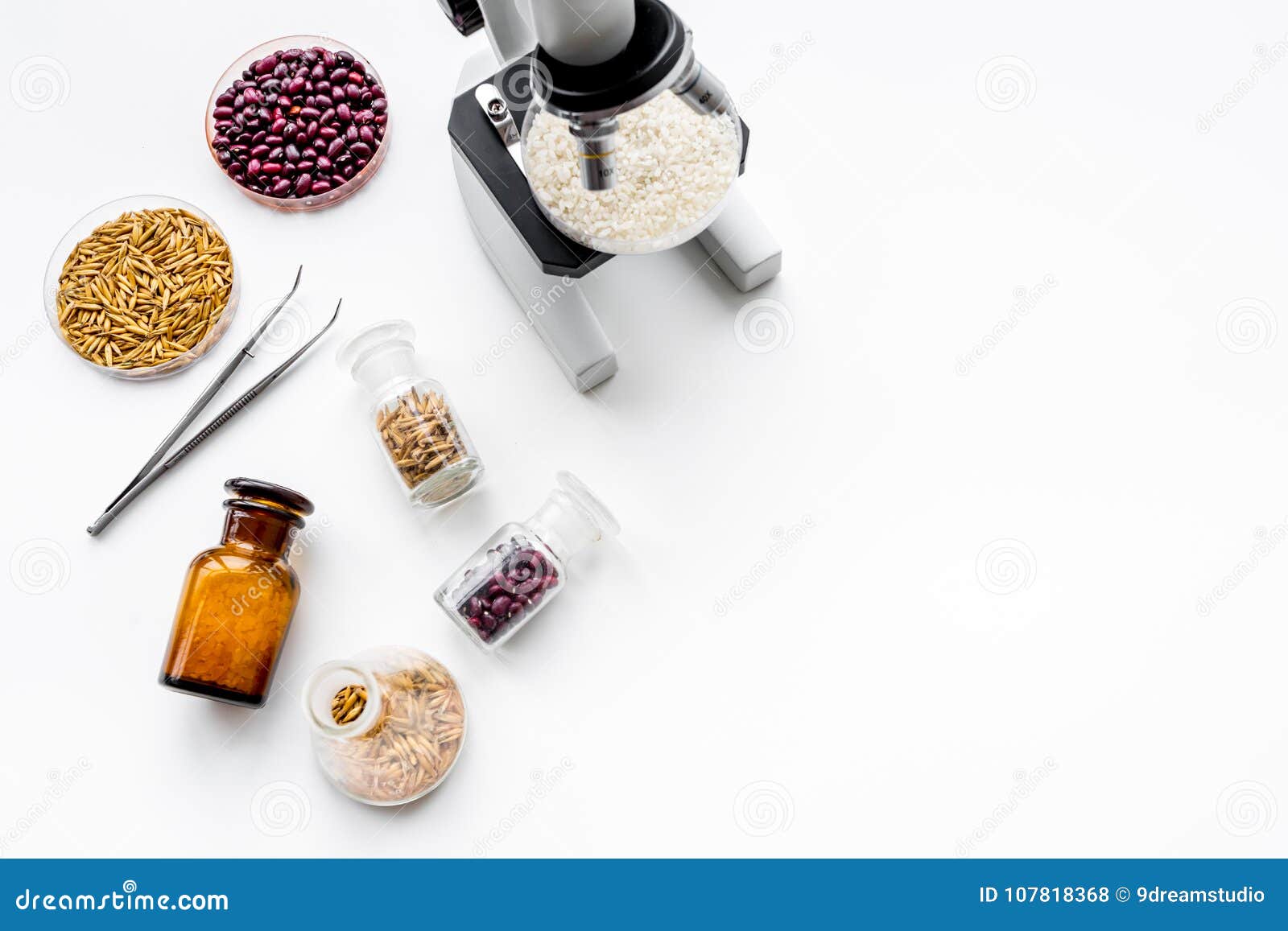 Food Analysis. Rice Under the Microscope on White Background Top View ...
