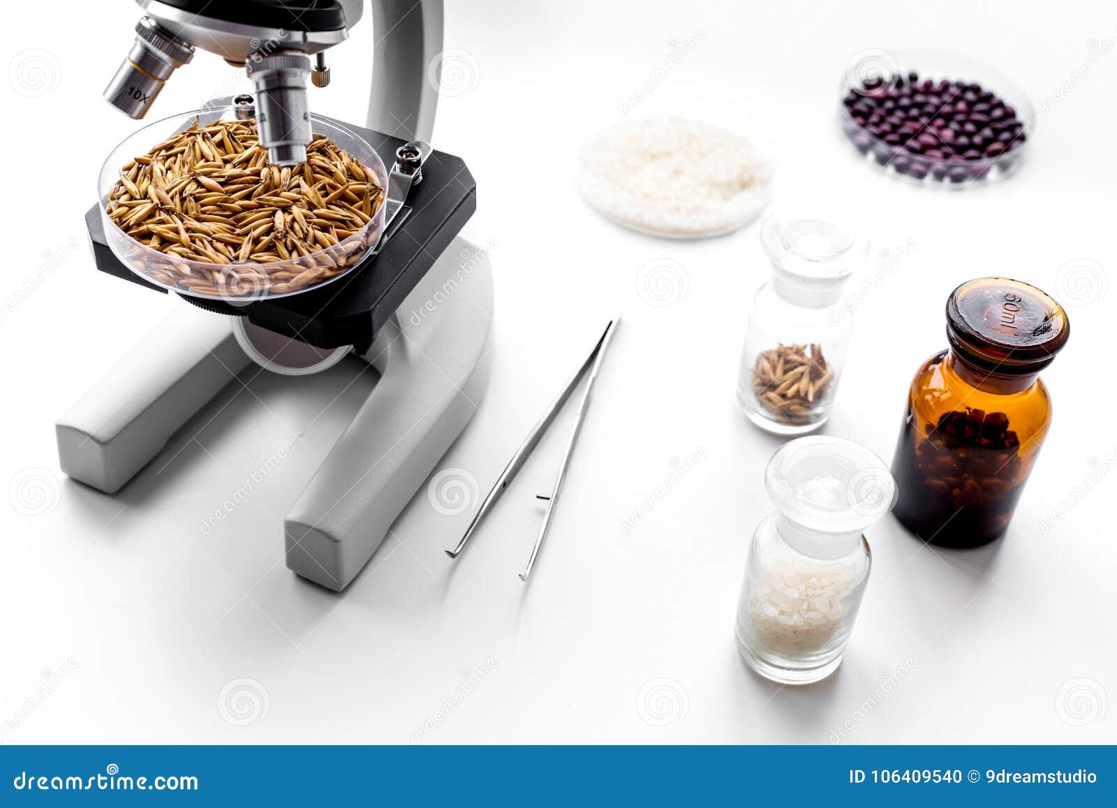 Food Analysis. Wheat Under the Microscope on White Background Stock ...