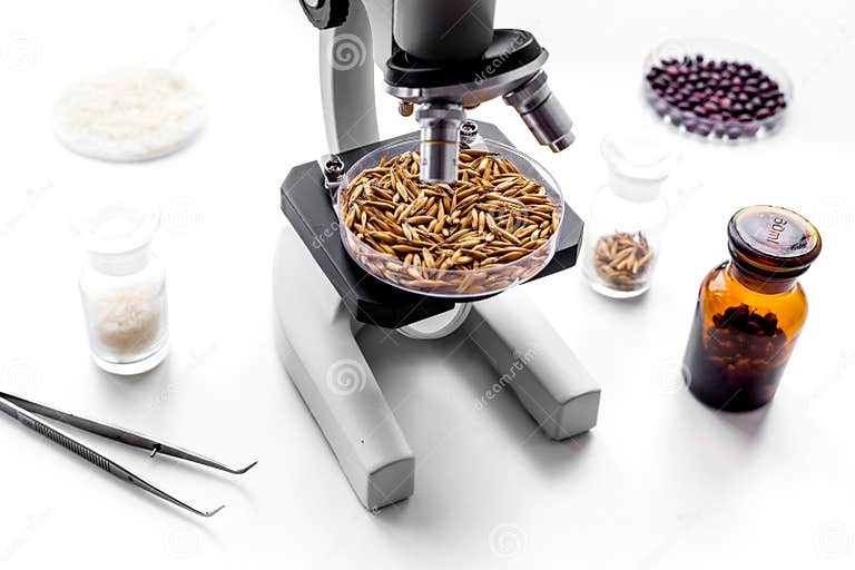 Food Analysis. Wheat Under the Microscope on White Background Stock ...