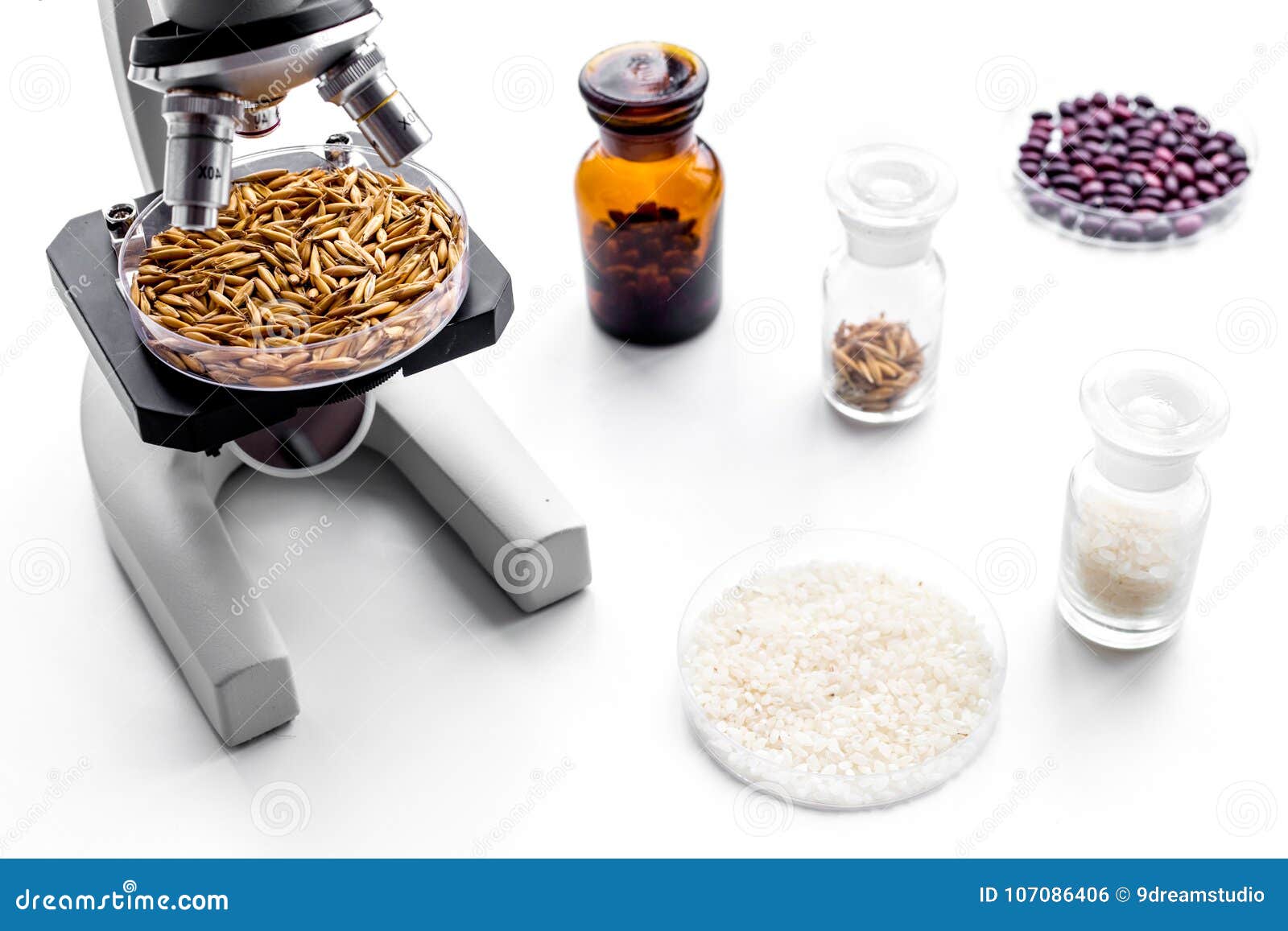 Food Analysis. Wheat Under the Microscope on White Background Stock ...