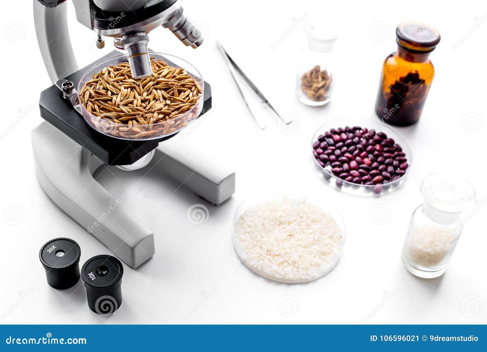 Food Analysis. Wheat Under the Microscope on White Background Stock ...
