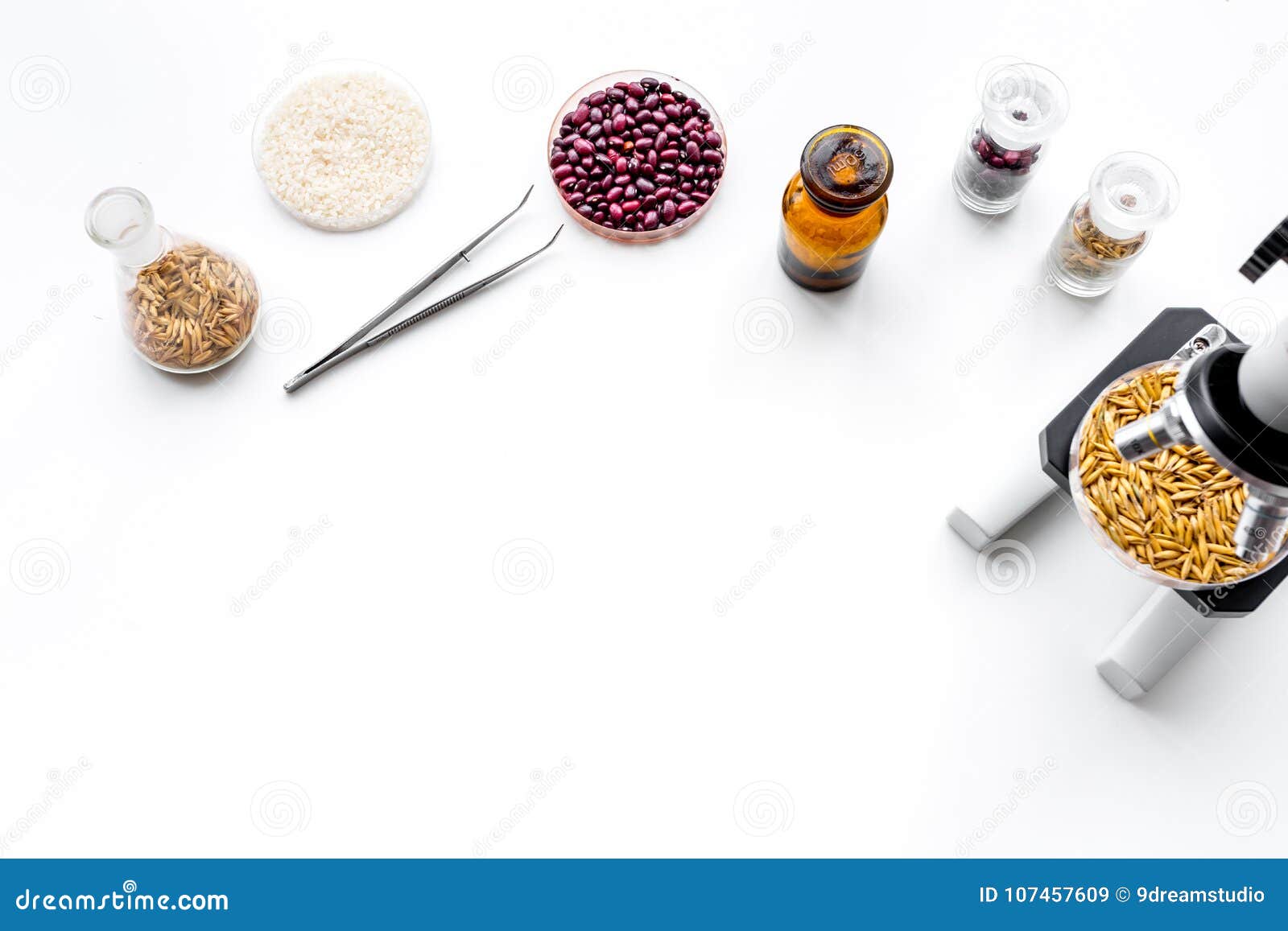 Food Analysis. Wheat Under the Microscope on White Background Top View ...