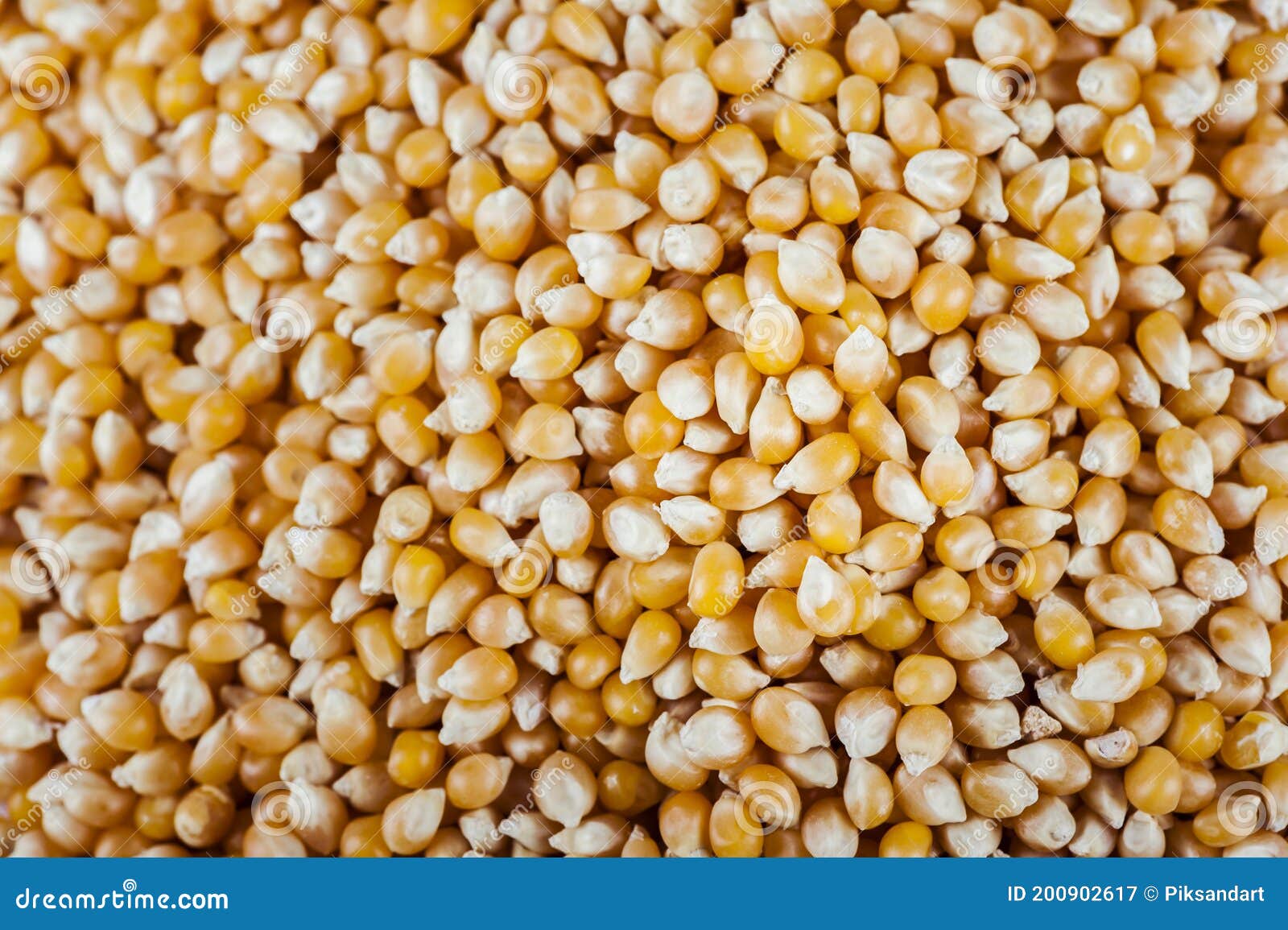 Food Background - Dried Corn Kernels Stock Image - Image of healthy ...