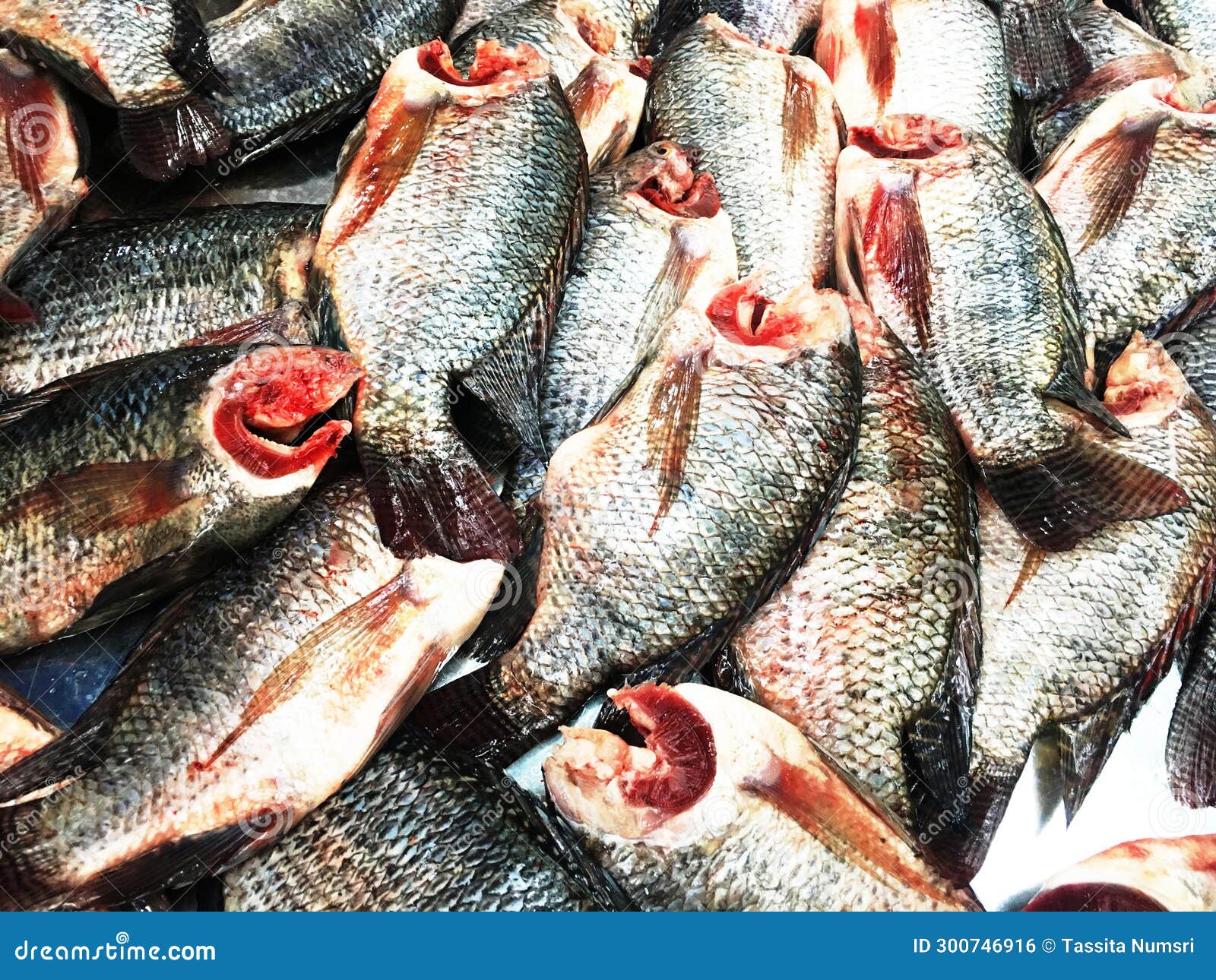 Food Background Fish in Market in Thailand Stock Photo - Image of ...