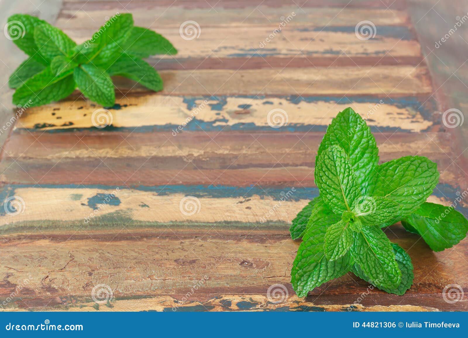 Food Background: Fresh Mint on Wooden Table with Copy Space Stock Photo ...