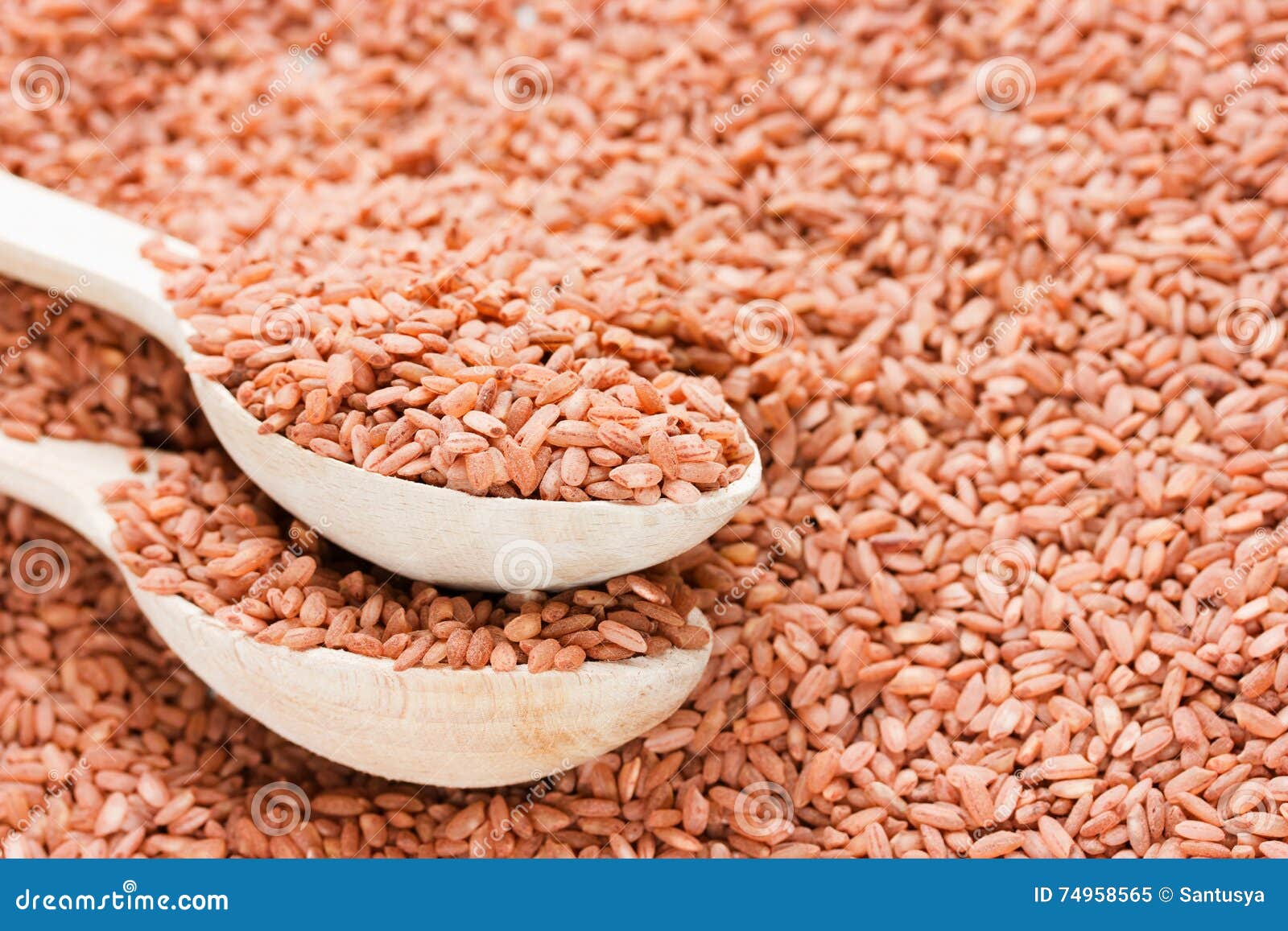 Food Background - Medium-grain Uncooked Red Matta (Devzira) Rice Stock ...
