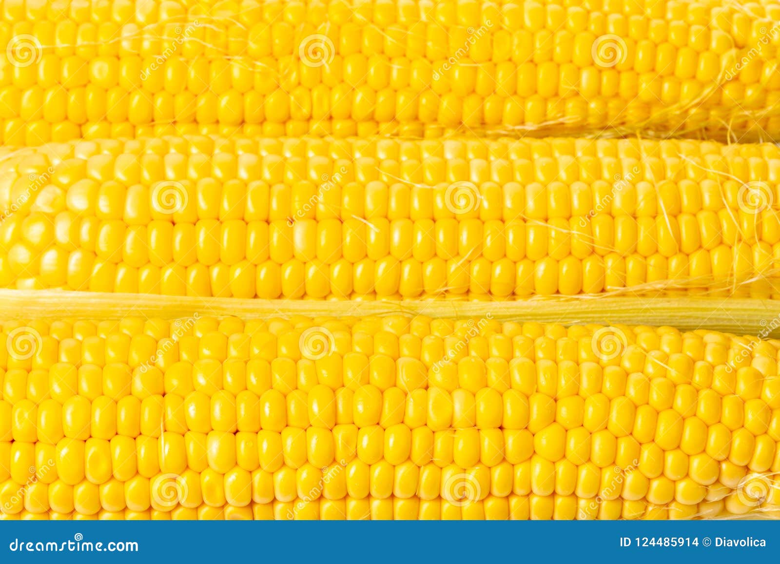 Texture of Corn Cobs Closeup Stock Photo - Image of natural ...