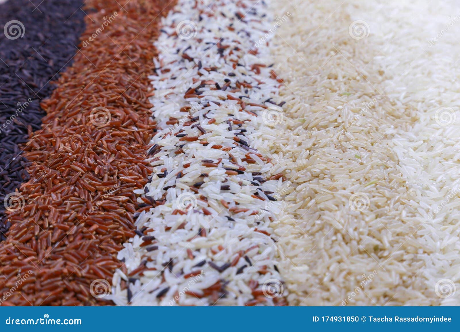 Food Background with Top View of Five Rows of Rice Stock Photo - Image ...