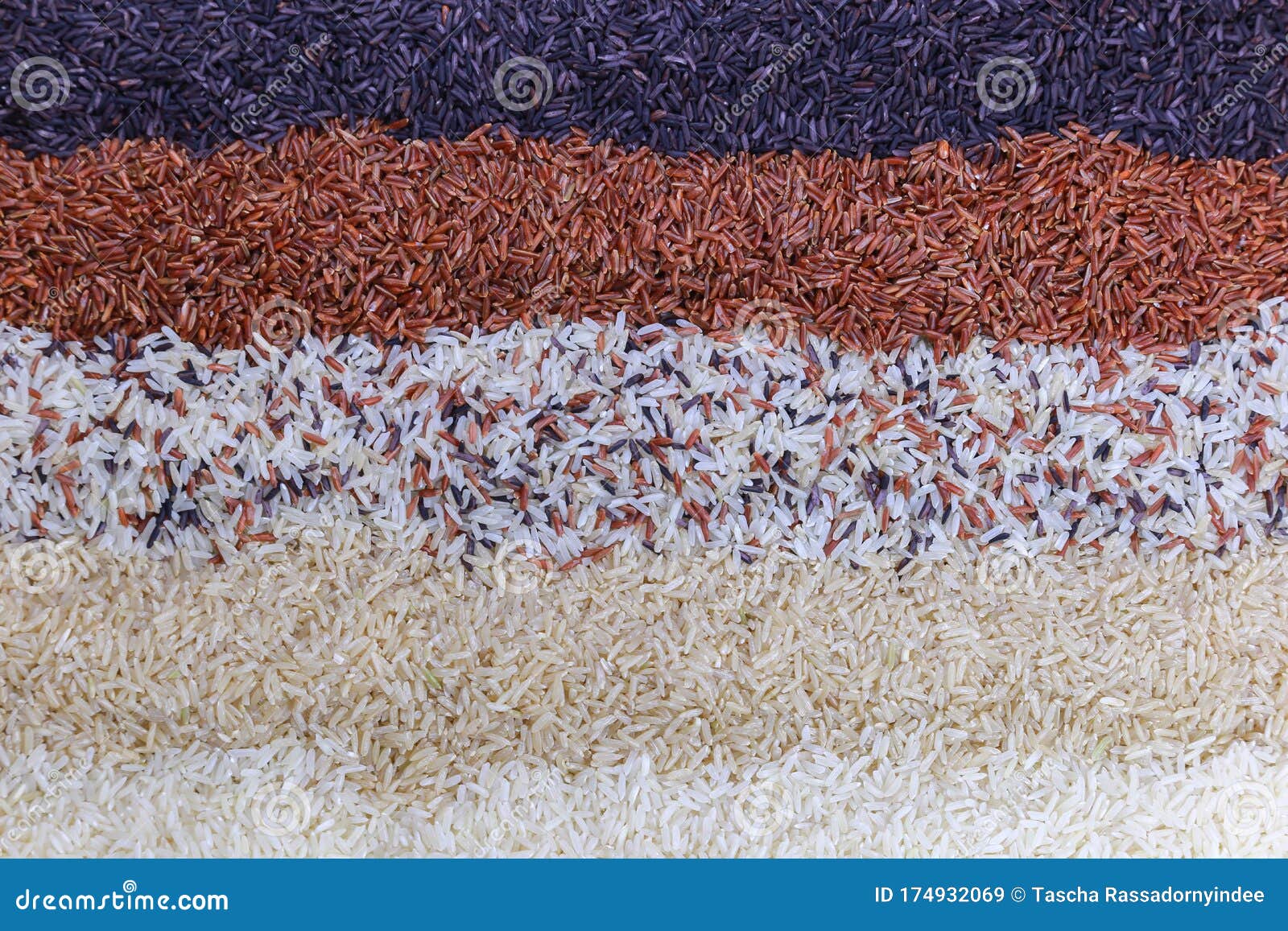 Food Background with Top View of Five Rows of Rice Stock Image - Image ...