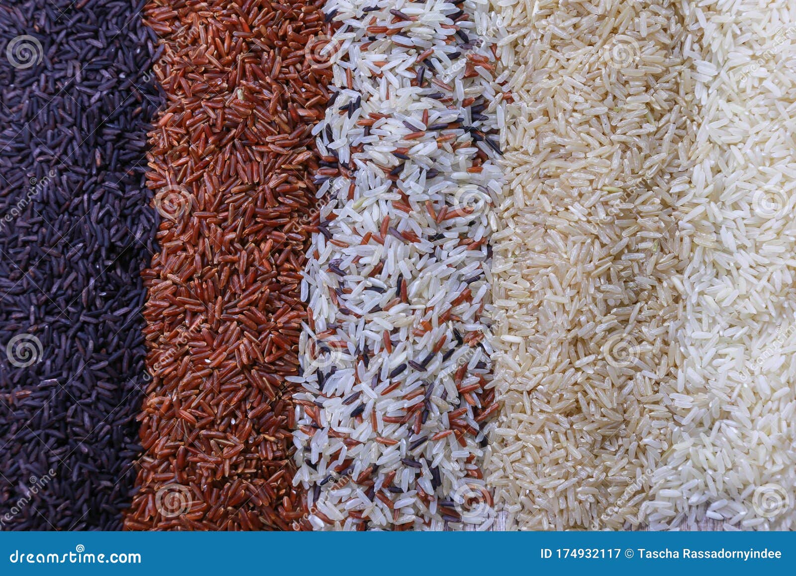 Food Background With Top View Of Five Rows Of Rice Royalty-Free Stock ...