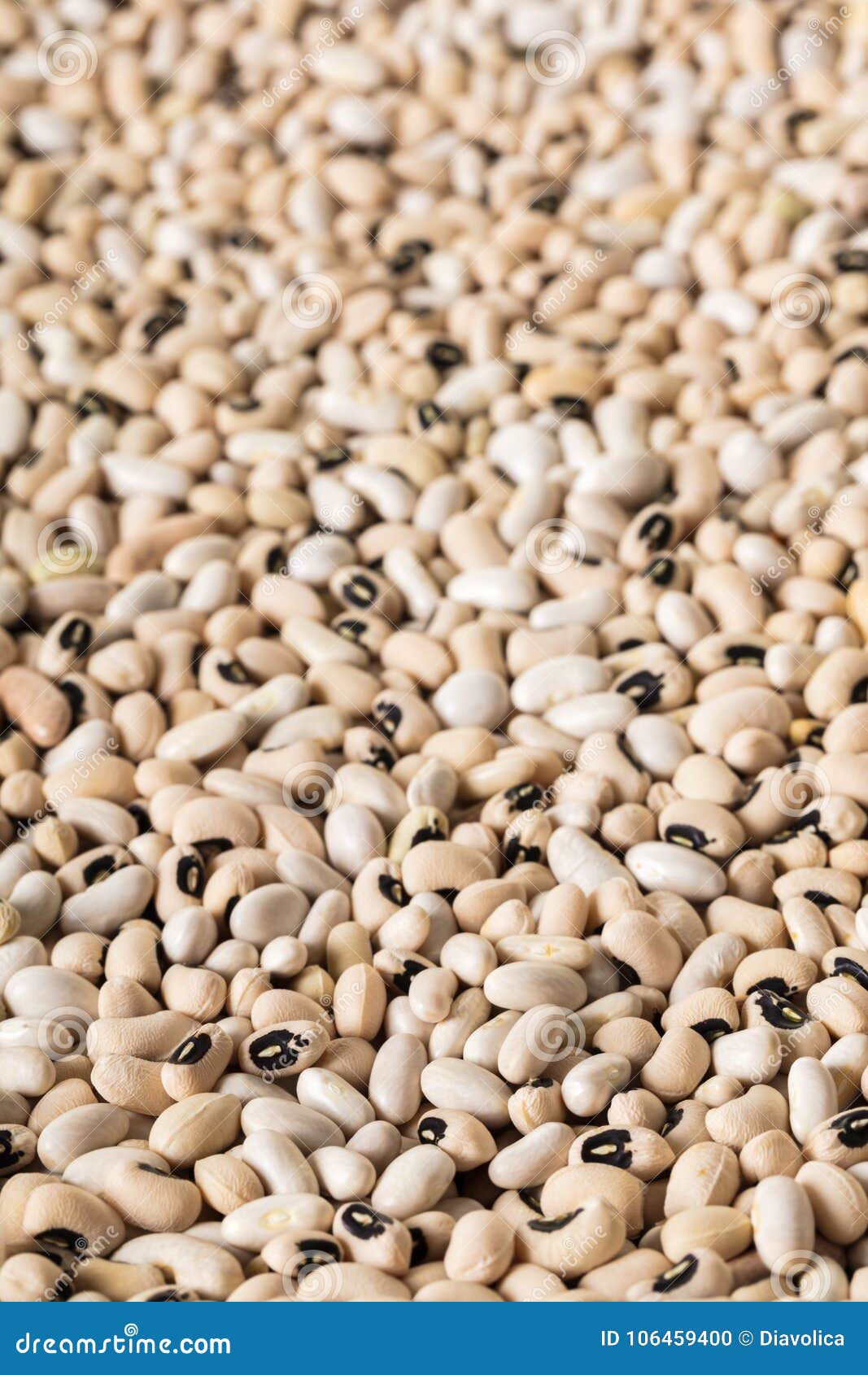 White bean texture closeup stock photo. Image of diet - 106459400