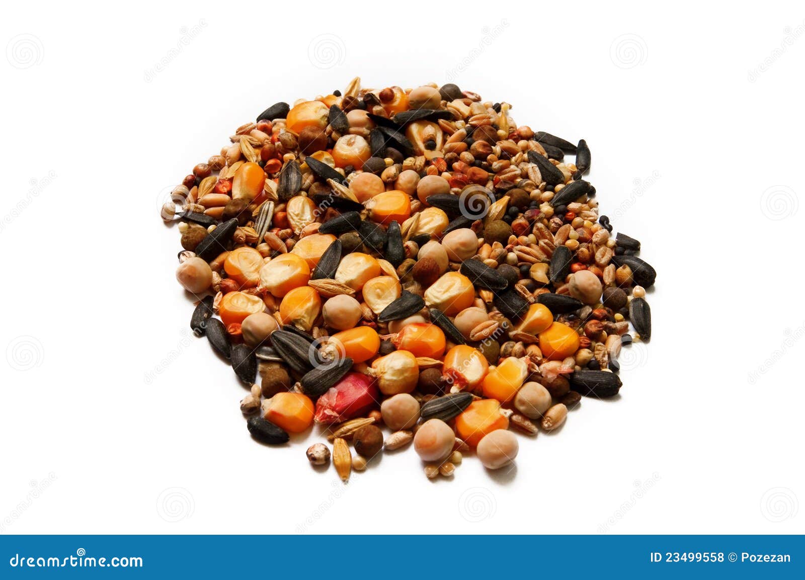 Food for birds stock photo. Image of brown, agriculture - 23499558