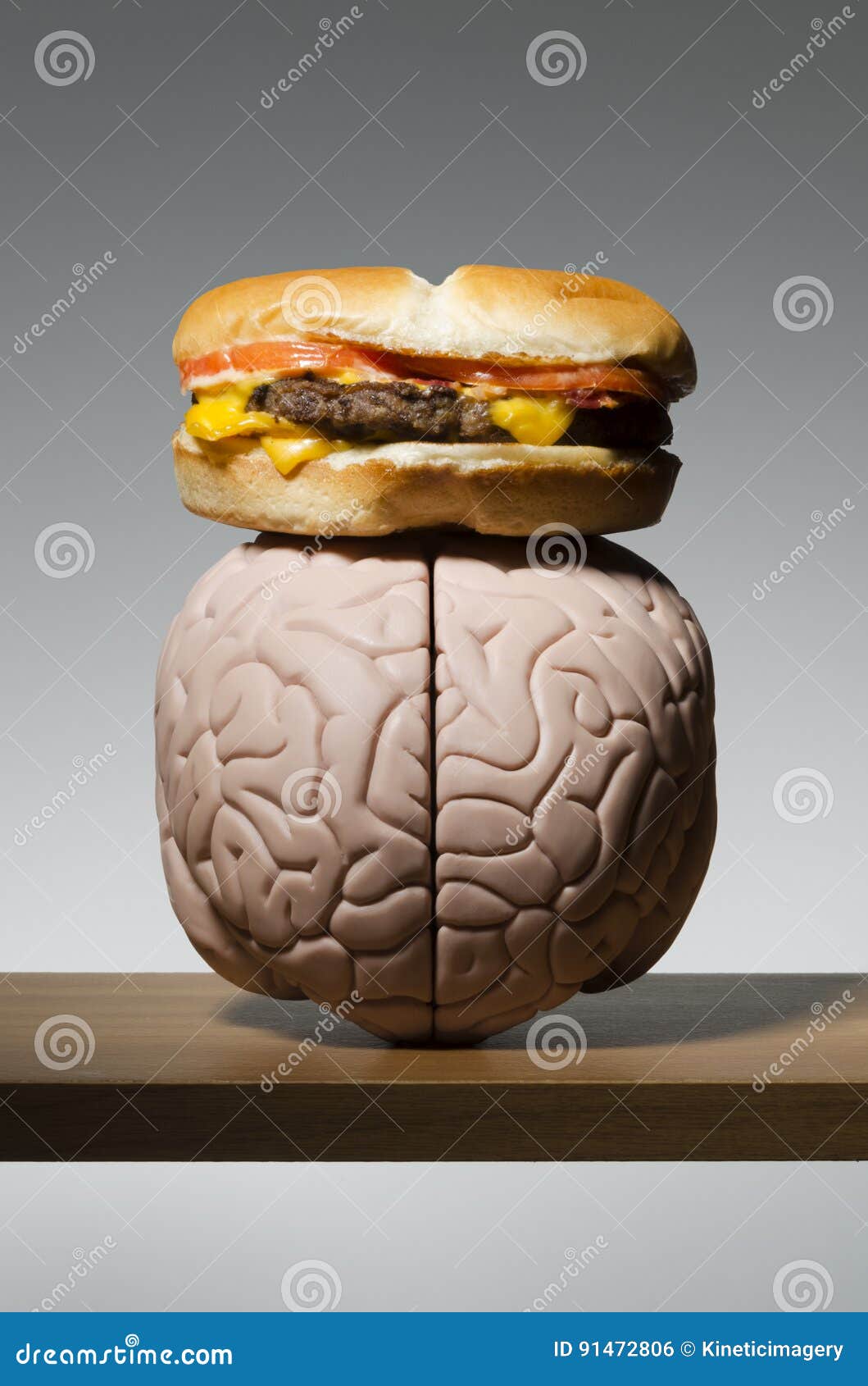 Food on the brain stock photo. Image of imagination, fast - 91472806