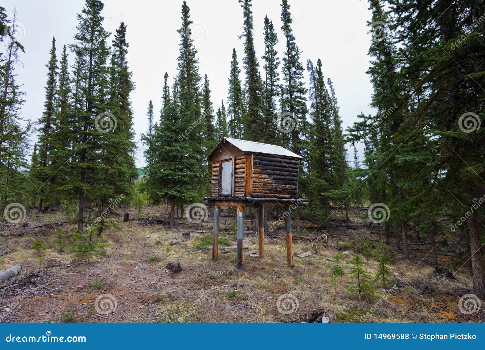 Food Cache stock photo. Image of green, woods, wood, store - 14969588