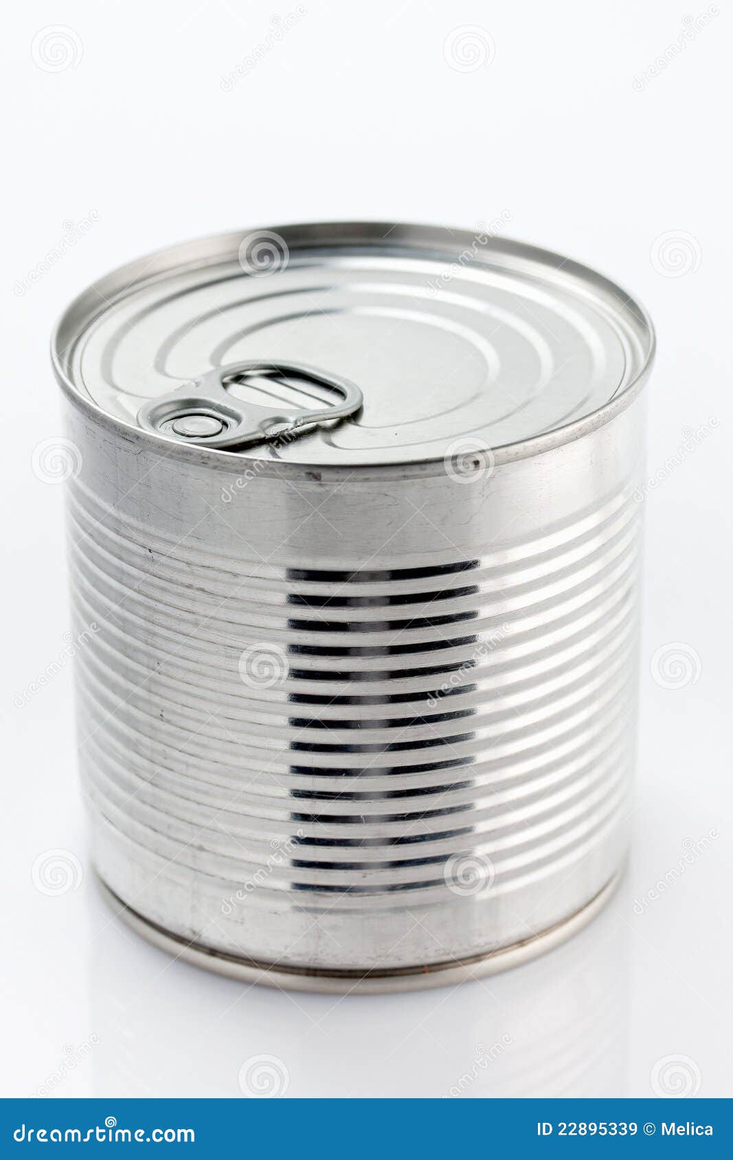 Food can stock image. Image of package, food, metal, product - 22895339