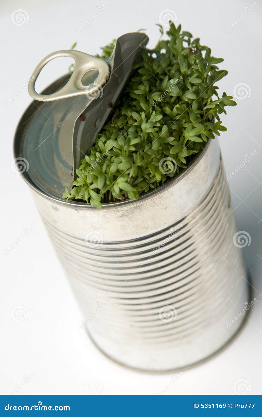 Food from can stock image. Image of chunk, grass, color - 5351169