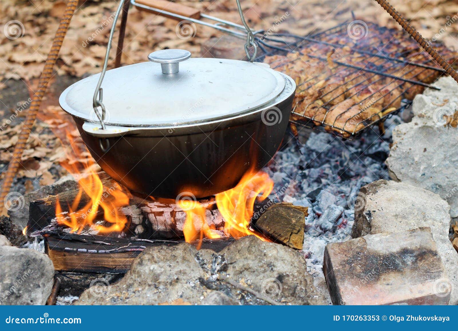 Food in the Cauldron on the Fire in the Forest Stock Image - Image of ...