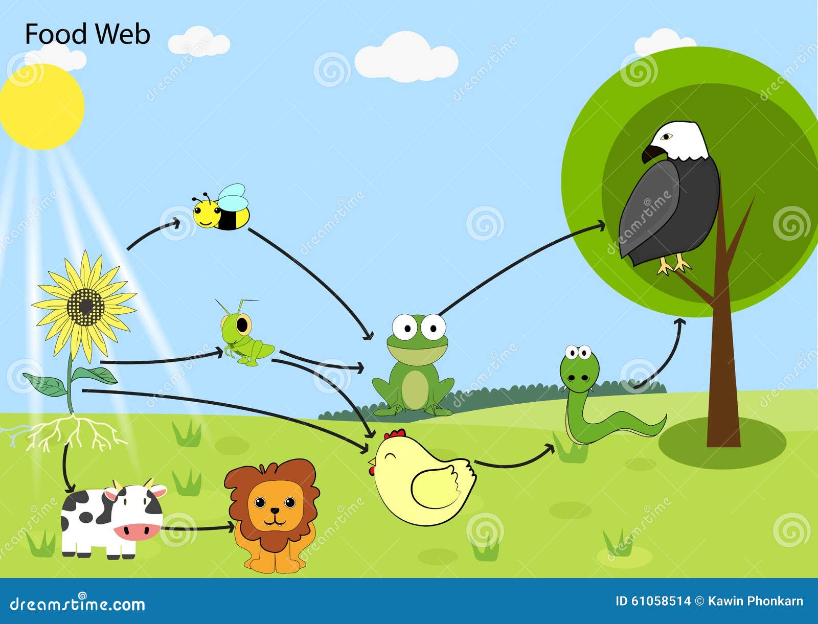 Food chain stock illustration. Illustration of science - 61058514