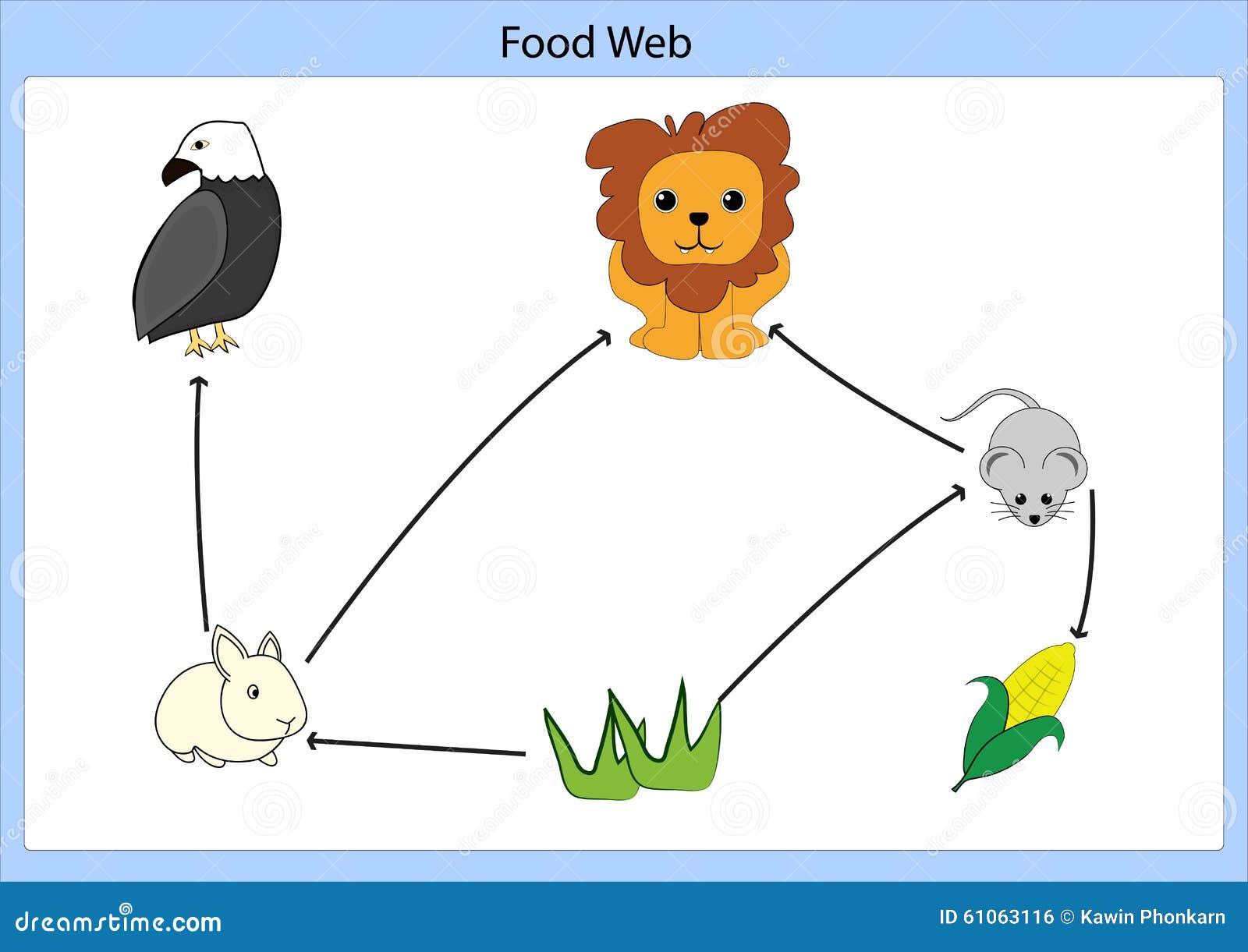Food chain stock vector. Illustration of science, producer - 61063116