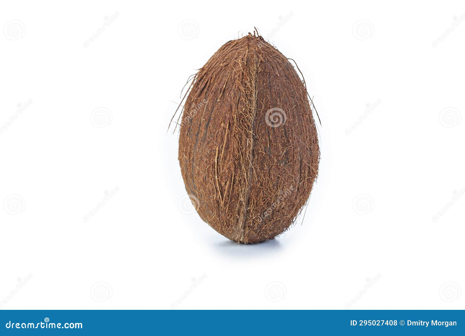 Food Concepts. One Separate Coconut Placed Isolated Over Pure White ...