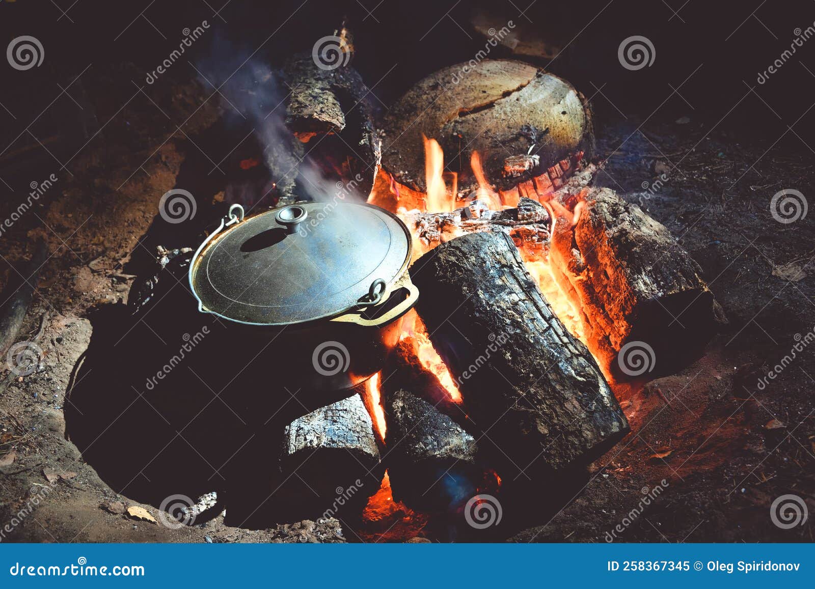 Food is Cooked in a Pot on a Fire Stock Image - Image of firewood, fire ...