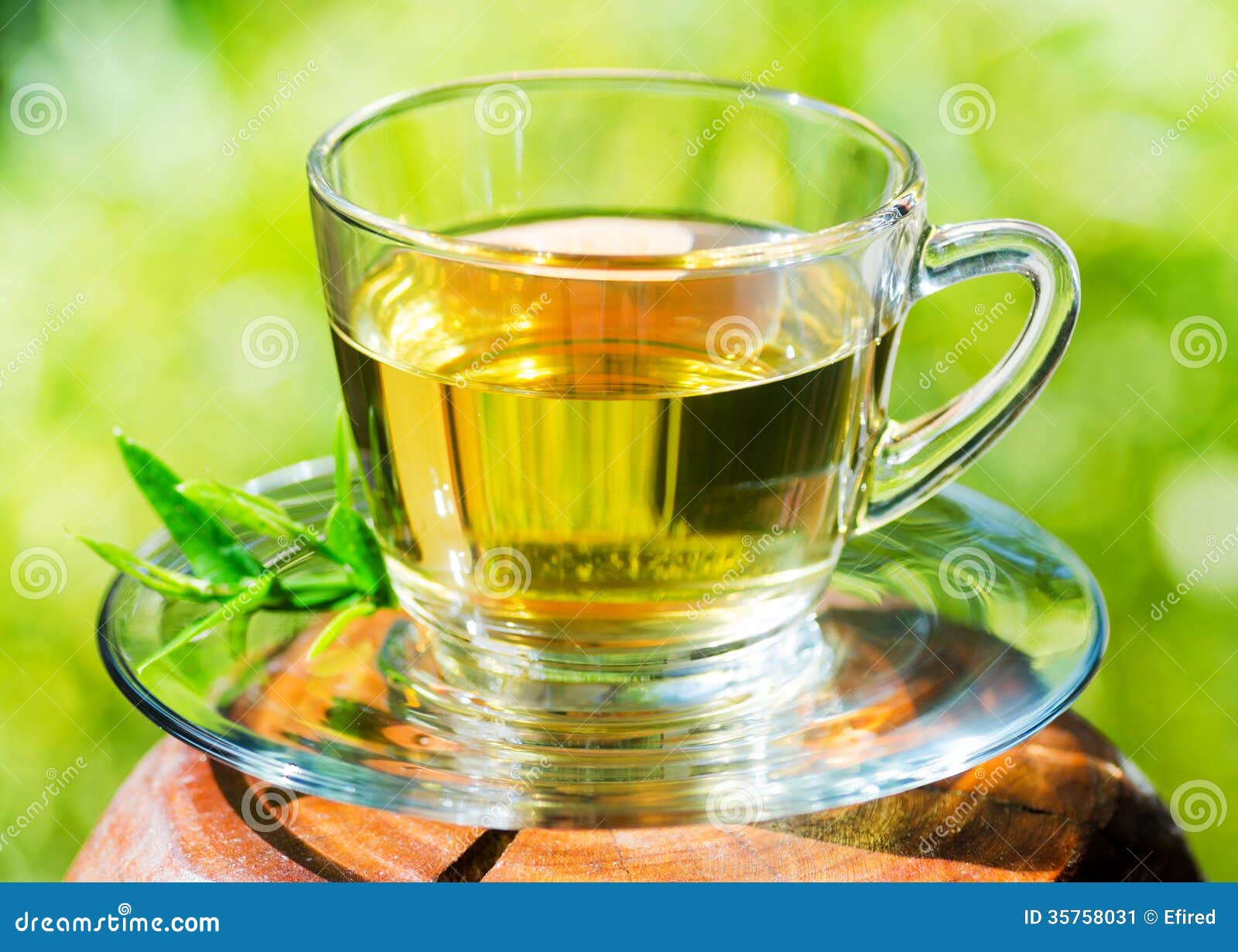 Cup of Tea on Nature Background Stock Image - Image of healthy ...