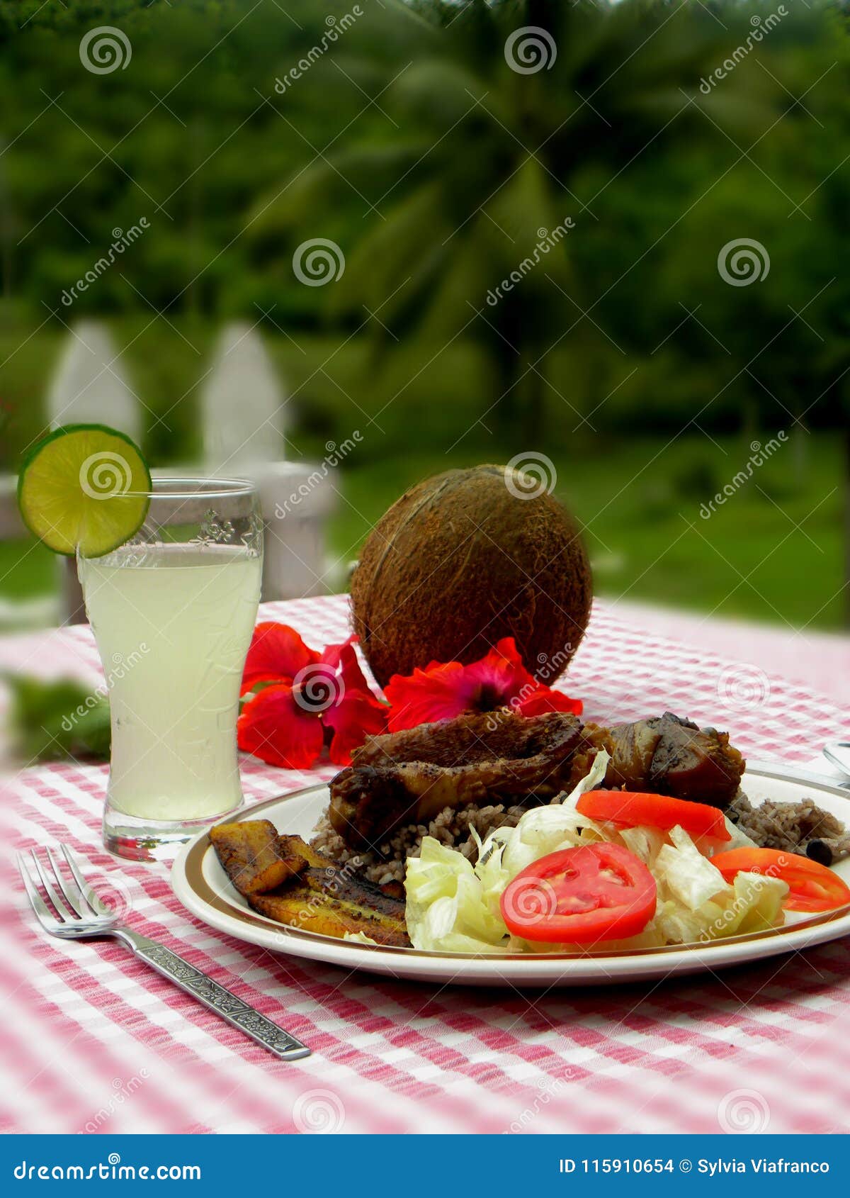 Food stock photo. Image of juice, belize, lime, delicious - 115910654