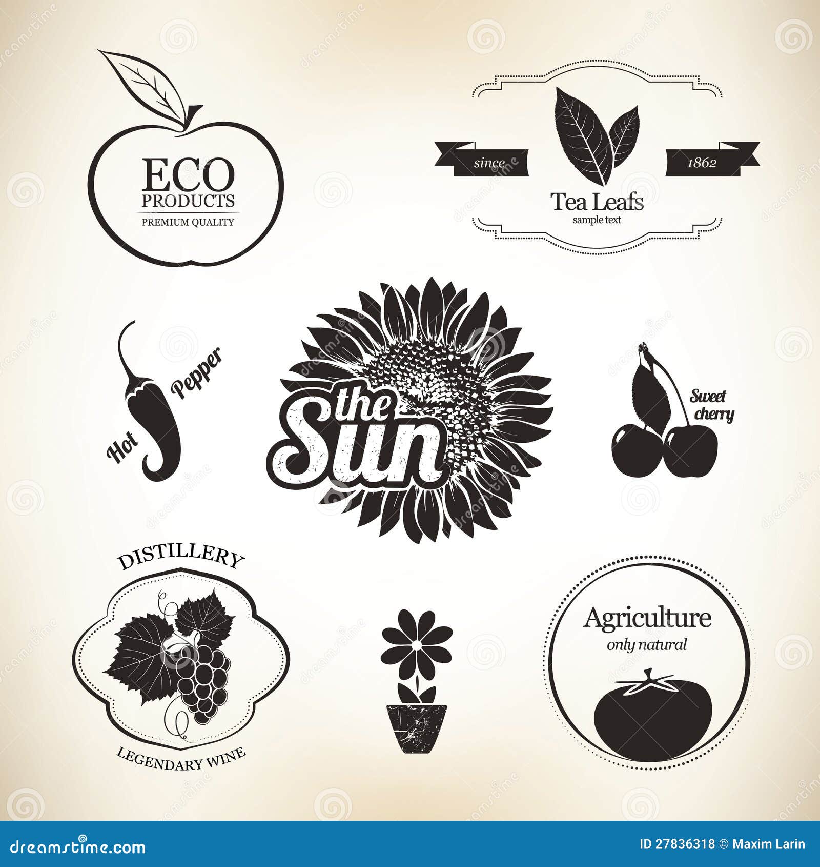 Food design elements stock vector. Illustration of health - 27836318