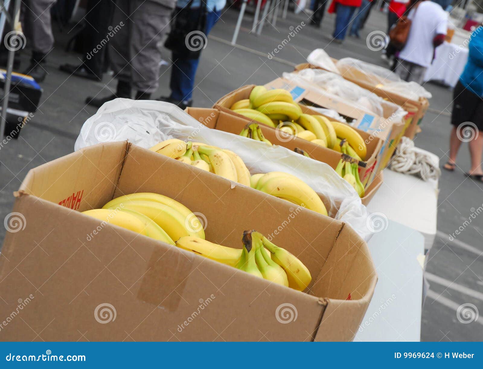 Food Distribution stock photo. Image of handout, economy - 9969624