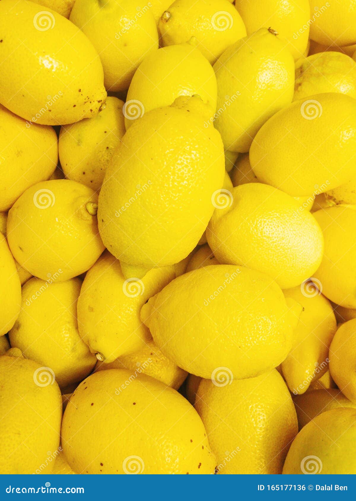Lemons yellow stock photo. Image of drinks, yellow, lemons - 165177136