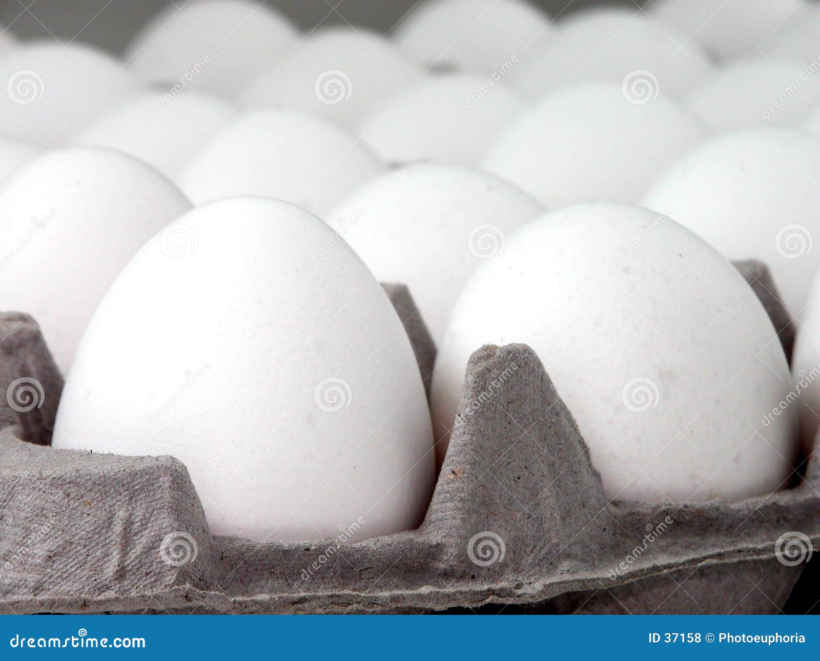 Food: Egg Close-up stock photo. Image of container, chicken - 37158