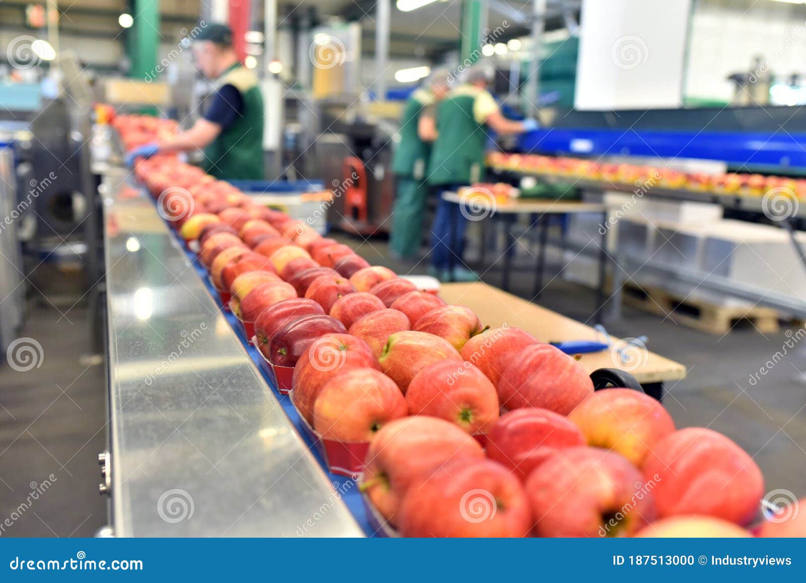 Food Factory: Assembly Line with Apples and Workers Stock Photo - Image ...