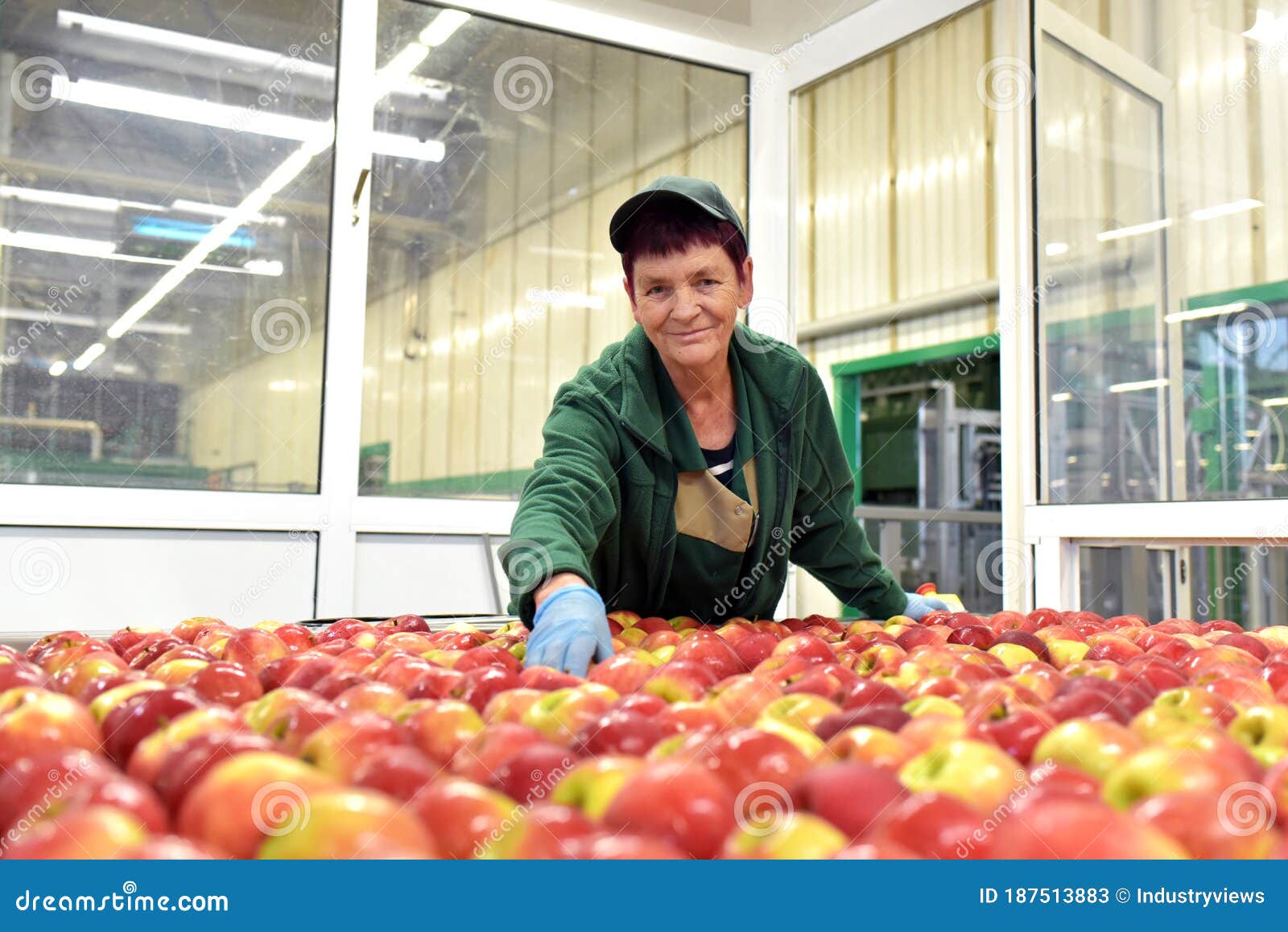 Food Factory: Assembly Line with Apples and Workers Stock Image - Image ...