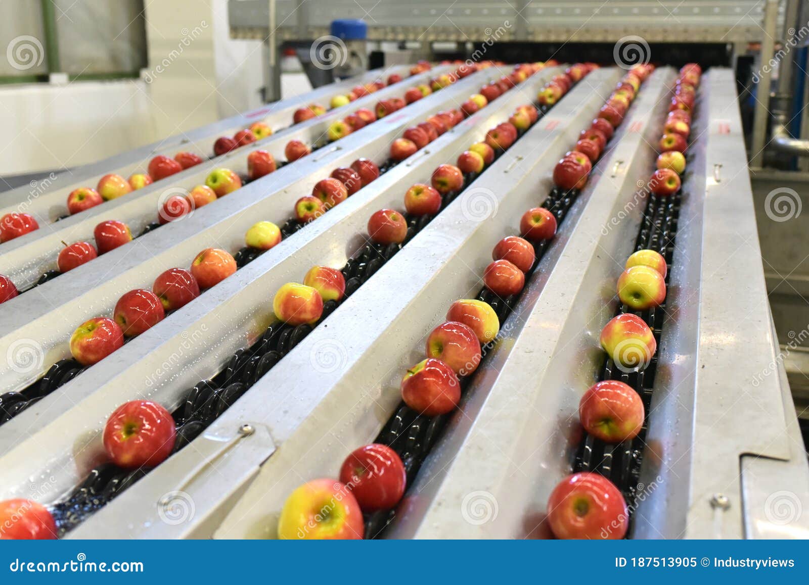 Food Factory: Assembly Line with Apples and Workers Stock Image - Image ...