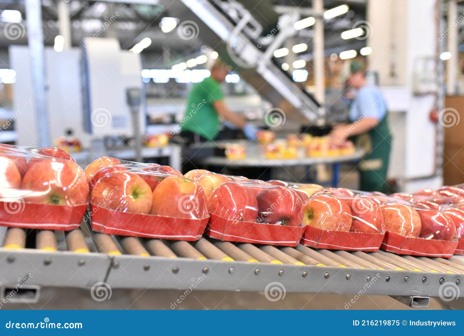 Food Factory: Assembly Line with Apples and Workers Stock Image - Image ...