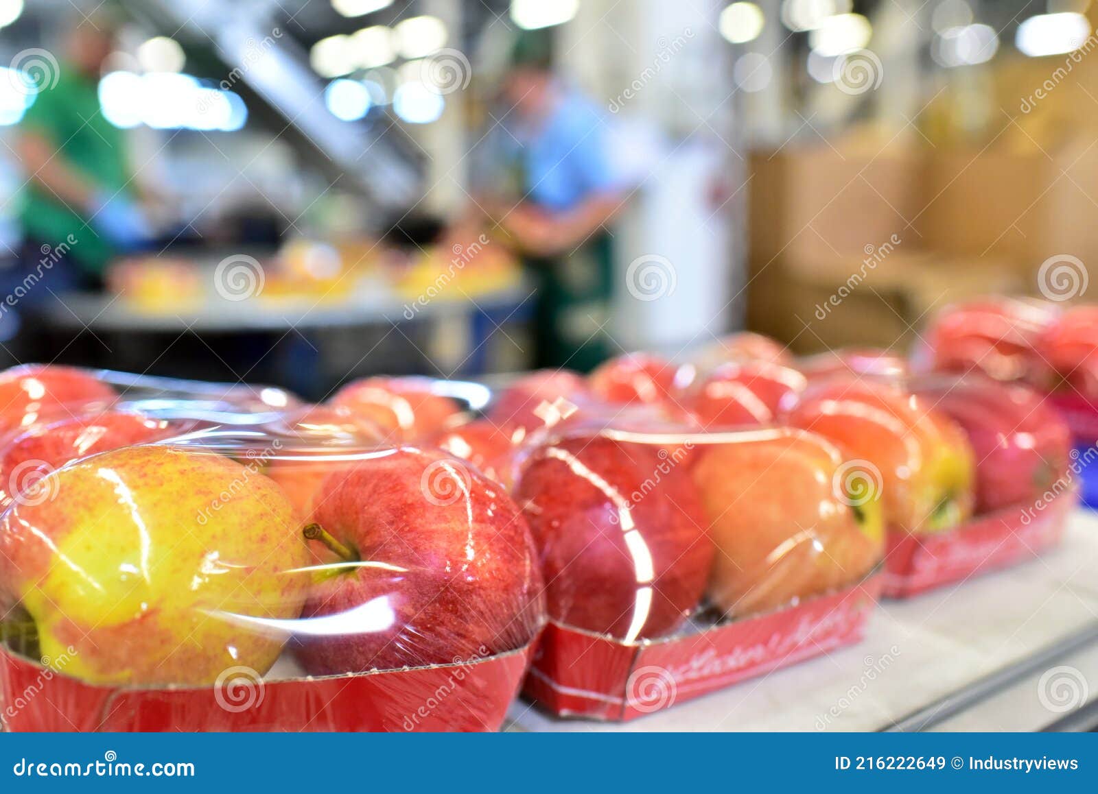 Food Factory: Assembly Line with Apples and Workers Stock Image - Image ...