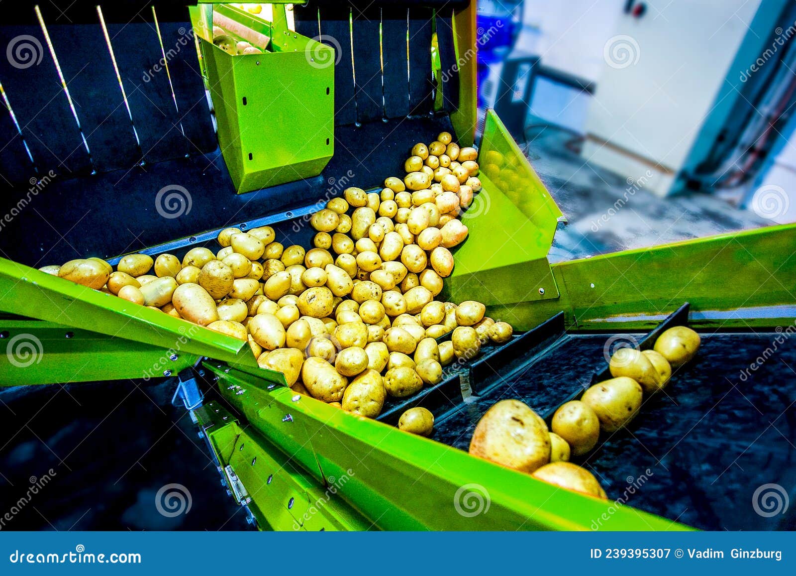 Food Factory - Potato Sorting, Processing and Packing Machine. Stock ...
