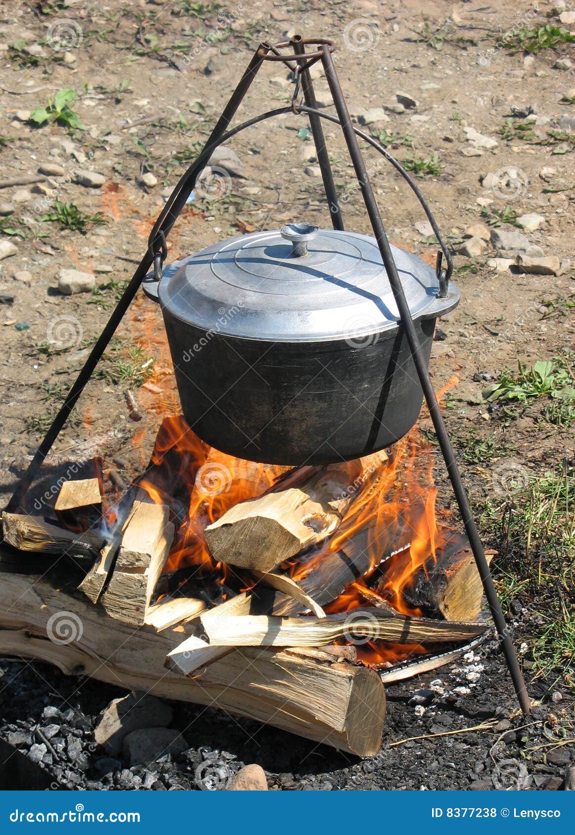 Food on the fire stock photo. Image of entertaining, camp - 8377238