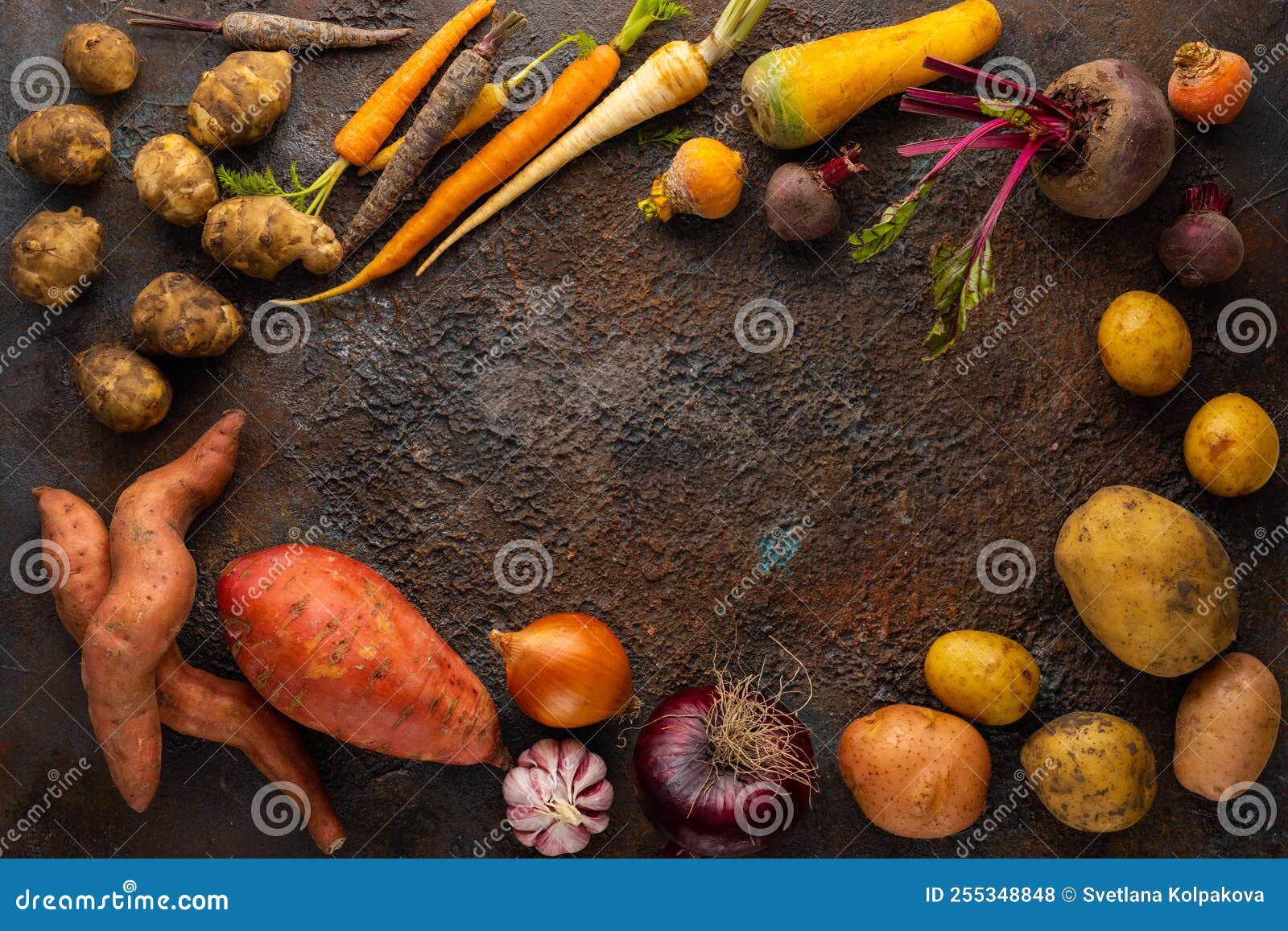 Food Frame of Root Vegetables. Autumn Harvest of Root Vegetables Stock ...