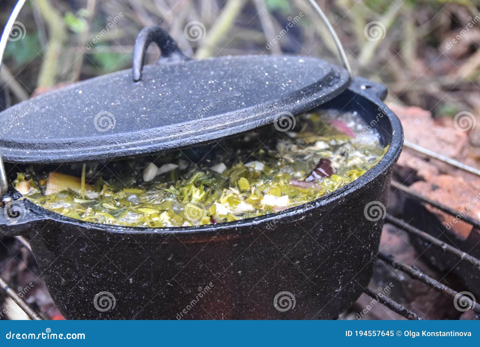 Food on a Hike in a Cauldron Green Soup Stock Image - Image of soup ...