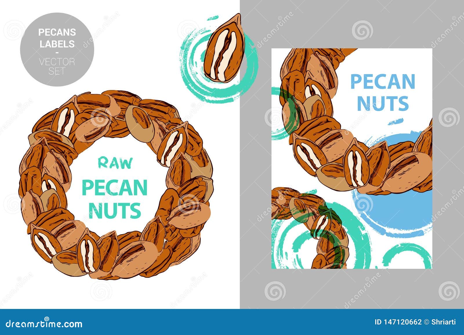 Raw Pecan Nuts Label. Creative Colorful Badge with Semicircle of Nuts ...