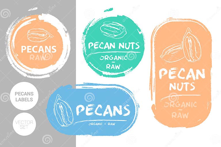 Pecan Nuts Colorful Label Set. Raw Organic Pecans Badge Shapes ...