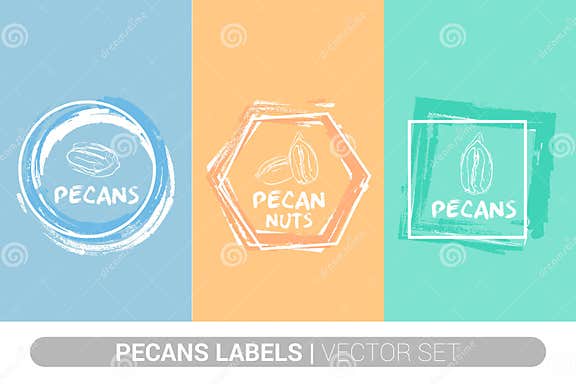 Pecan Nuts Colorful Label Set. Raw Organic Pecans Badge Shapes ...