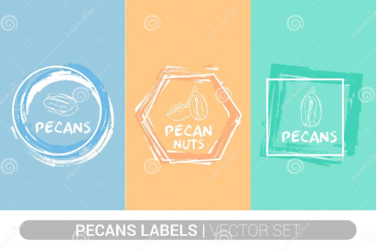 Pecan Nuts Colorful Label Set. Raw Organic Pecans Badge Shapes ...