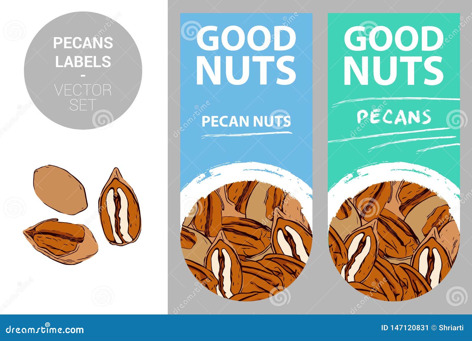 Pecan Nuts Product Labels in Blue and Turquoise Colors with Nut Texture ...
