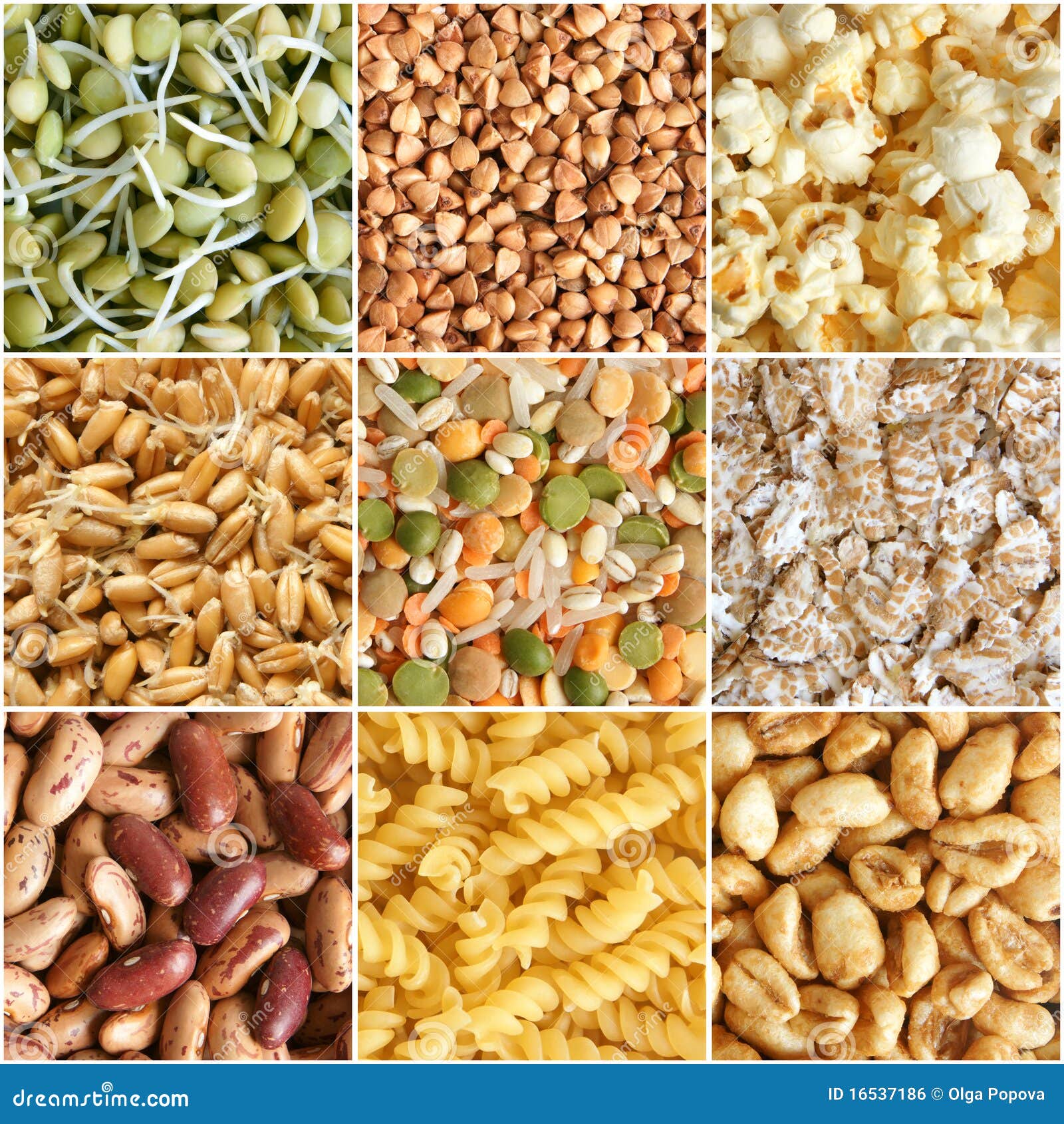 Food ingredients collage stock photo. Image of green - 16537186