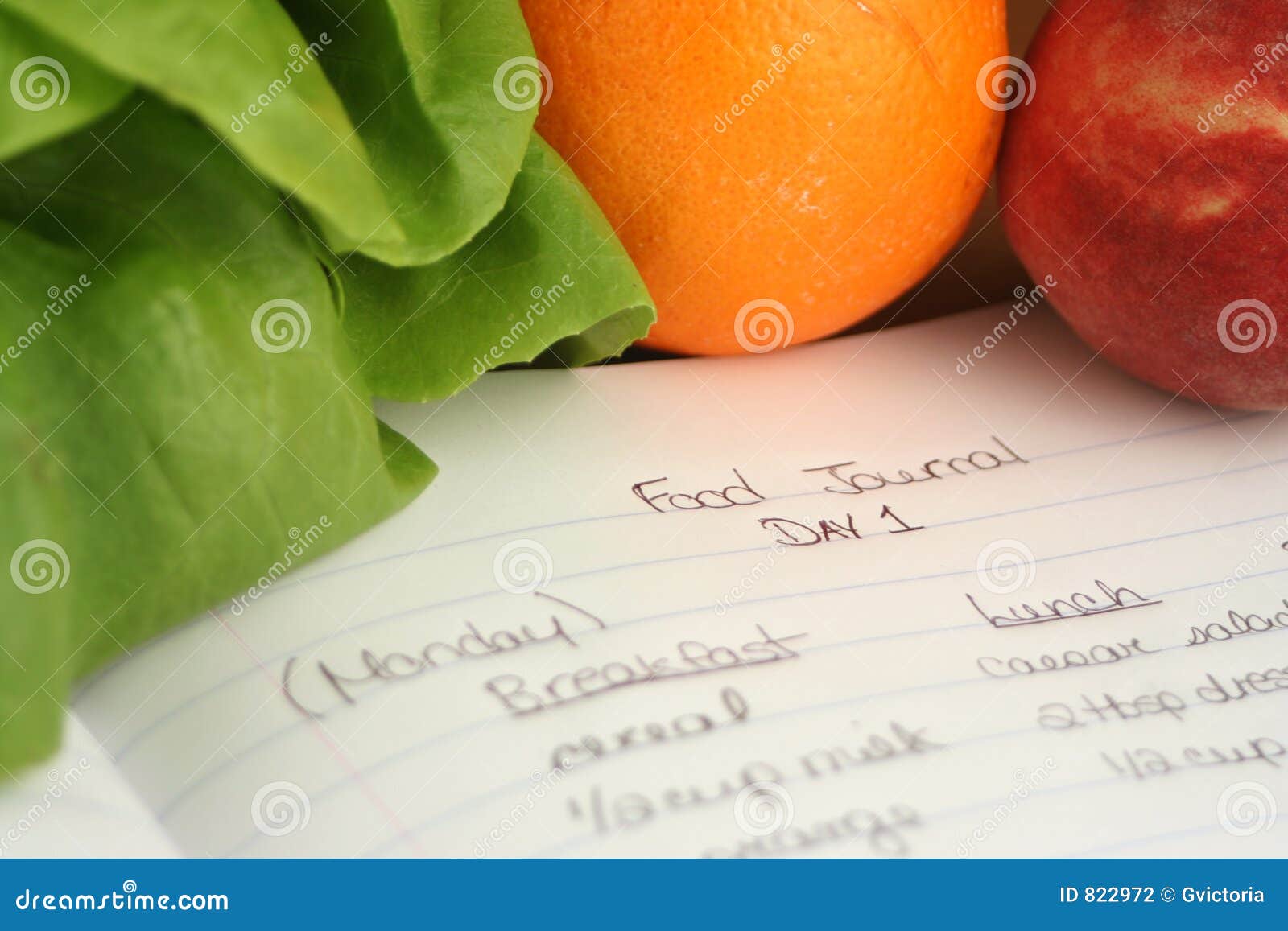 Food journal stock photo. Image of lunch, fruit, peaches - 822972
