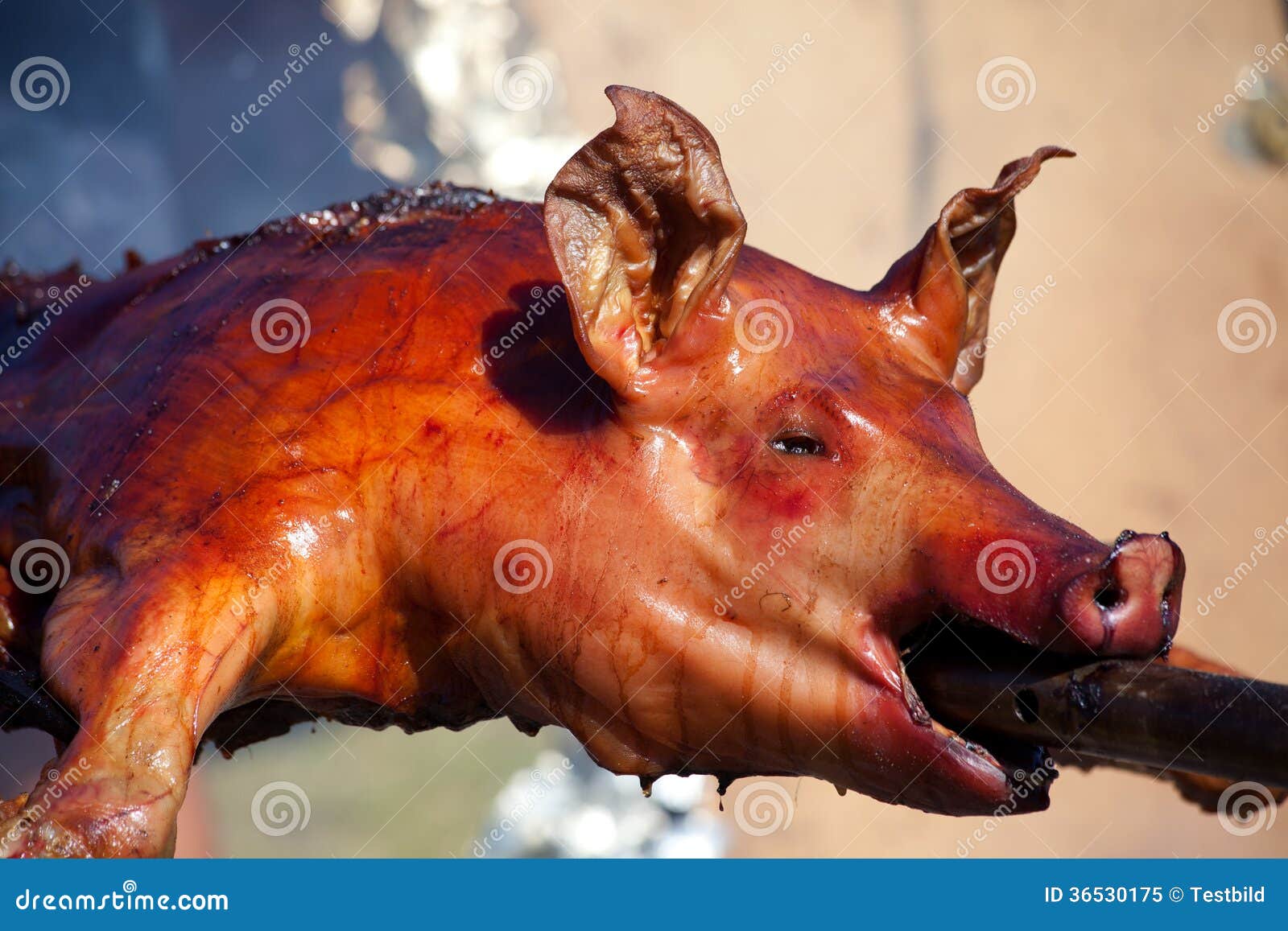 Food, meat, sucking pig stock image. Image of fire, grilled - 36530175