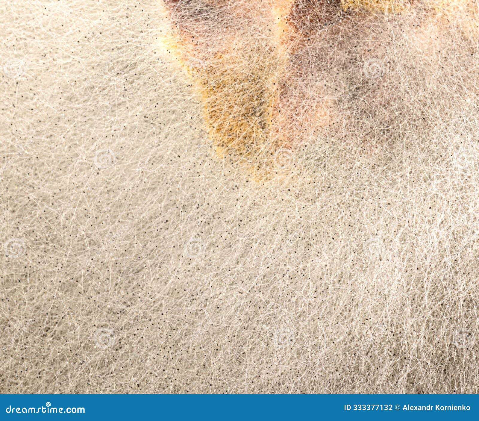 Dry Food Mold. Dried Fish Moldy. Stock Photography | CartoonDealer.com ...